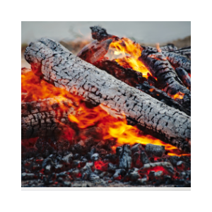 Cappuccino Fragrance Oil — Oils Essentially Ltd